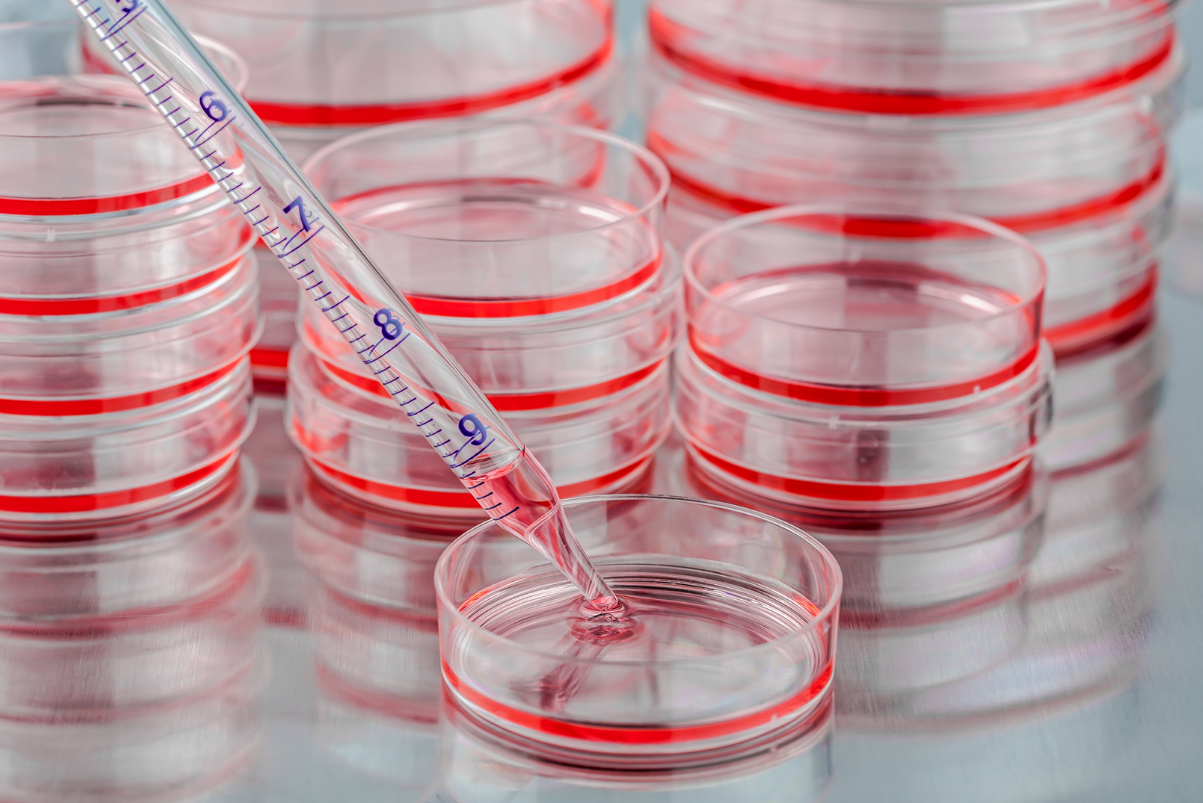 New iPSC Culture Medium Promises Weekends Off at Low Costs – Defined Bioscience