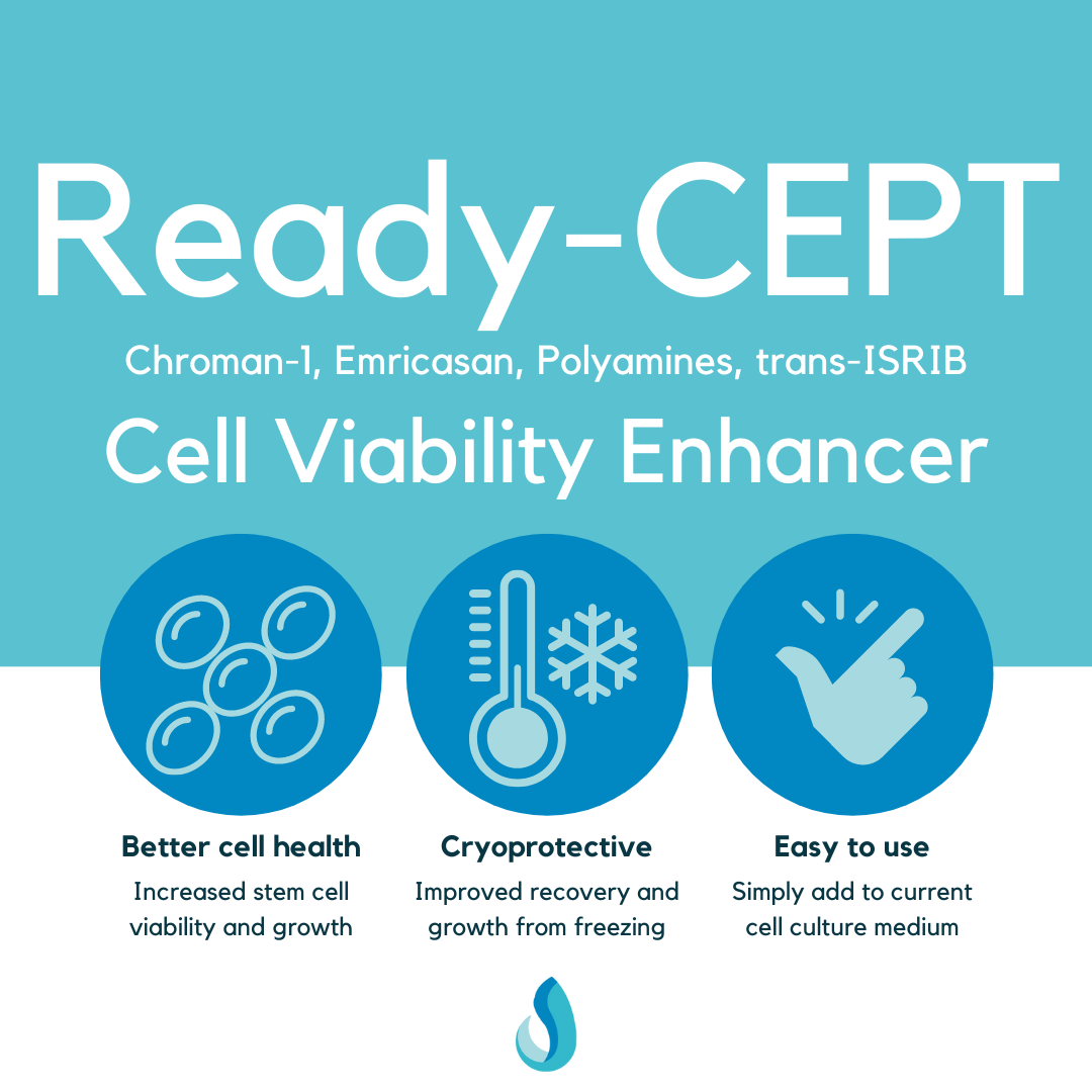 Ready-CEPT Cell Viability Enhancer | Defined Bioscience