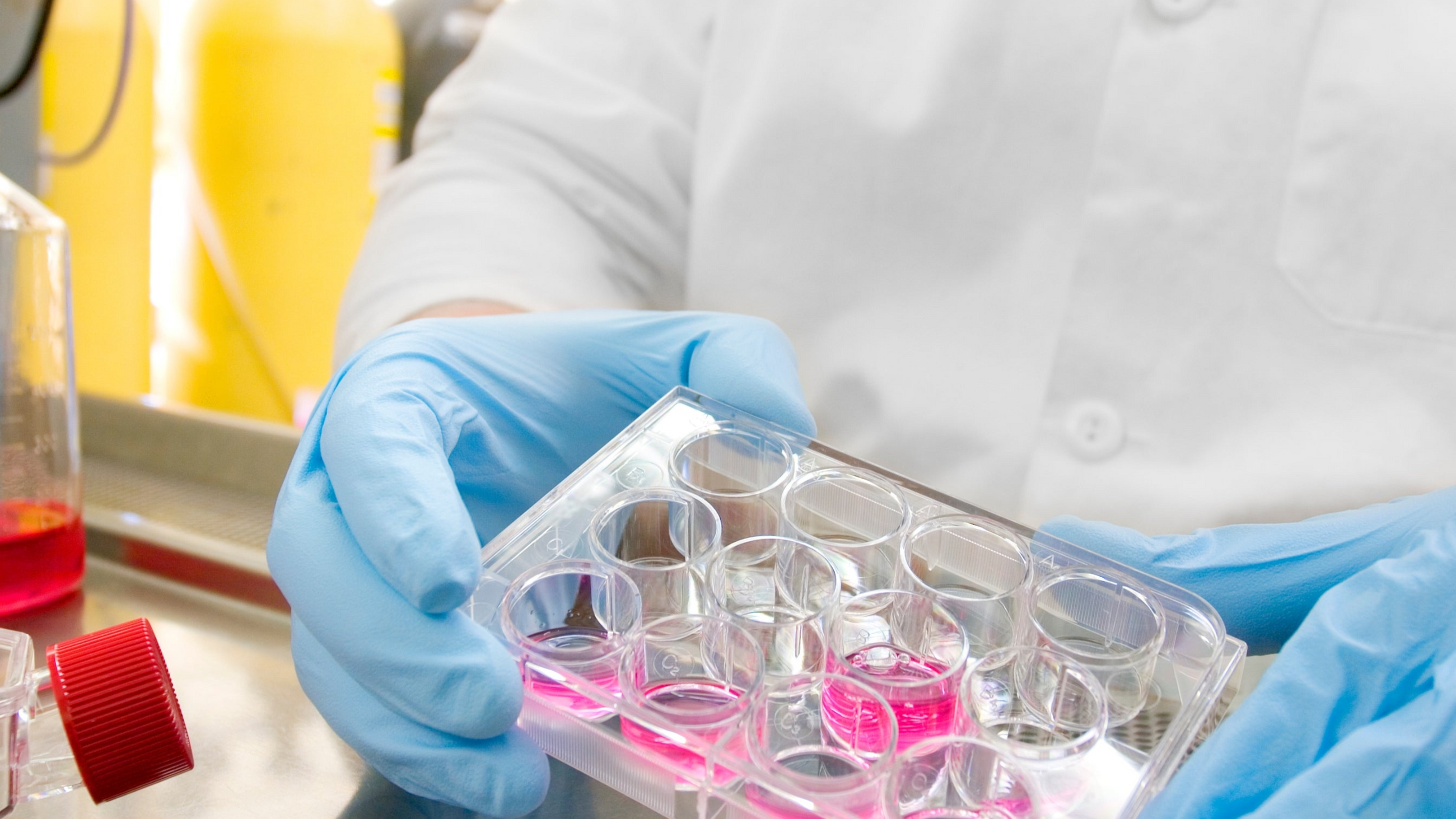 Defined Bioscience | Serum-Free Stem Cell Media & Supporting Reagents